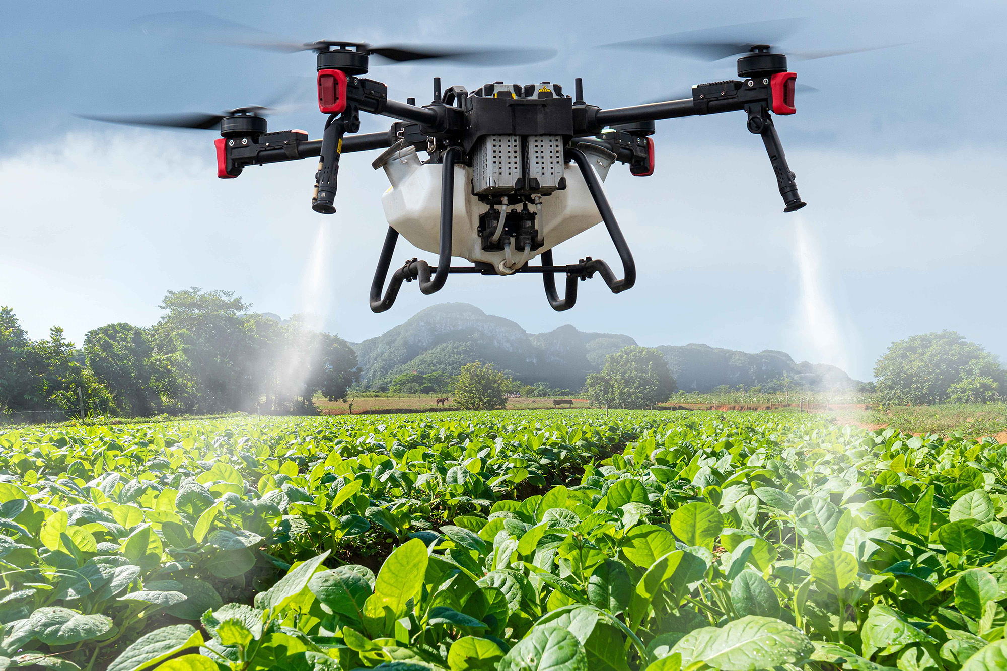 Contact Apollo Aero Carbon Fiber